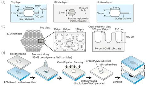 Ab Design Of The Microfluidic Device Composed Of Three Layers A