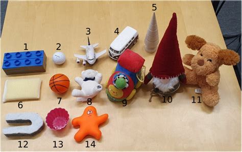 The 14 Individually Numbered Objects Used In The Real Experiment The Download Scientific