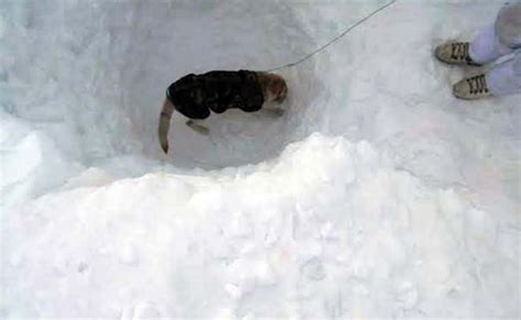 Breaking News 6 Days After Siachen Avalanche One Of The Ten Soldiers
