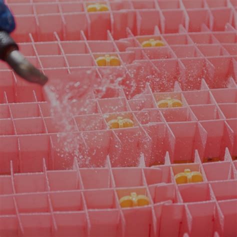 Banso Tsk株式会社