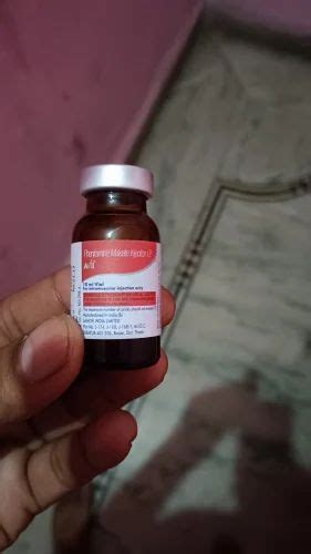 Avil Injection 10 Ml 2275 Mg At ₹ 15stripe In Baraut Id 2852861065173
