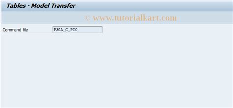 PI30 SAP Tcode PP PI Options For Release 3 0
