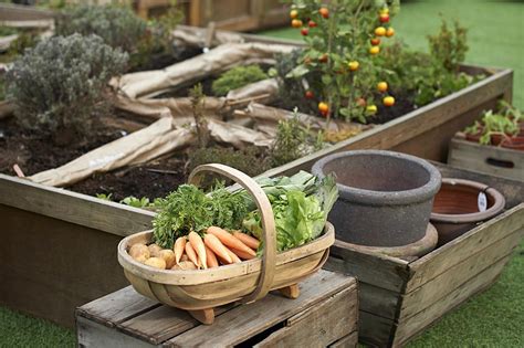 10 Tips For Successful Raised Bed Gardening