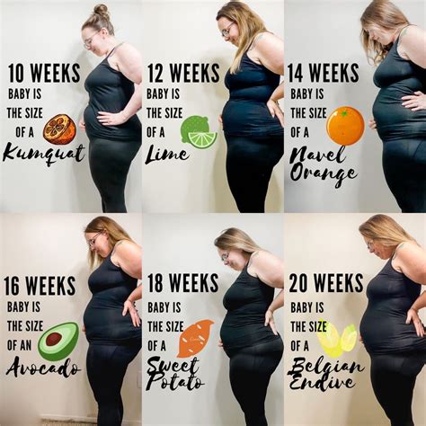 22 Weeks Pregnant Belly Plus Size