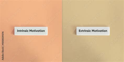 Intrinsic Vs Extrinsic Motivation Banner Text On Block Letter Tiles