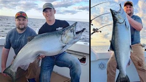 Angler Catches 40 Pound Chinook In Lake Michigan—largest Salmon Caught