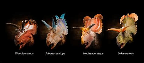 Never Before Seen Dinosaurs Unique Headgear Earns It A Godly Name
