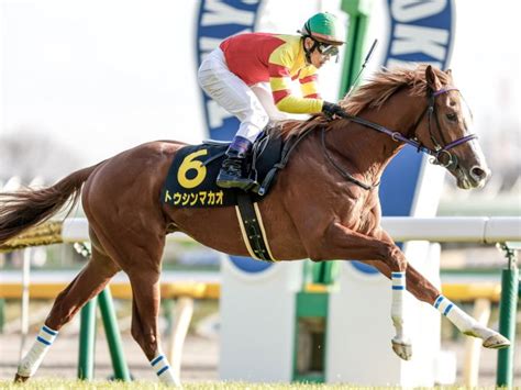 【クロッカスsレース後コメント】トウシンマカオ戸崎圭太ら 競馬ニュース Netkeiba