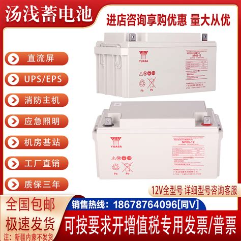 汤浅 Yuasa Np24 12 12v24ah Ups Eps直流屏机房通信蓄电池虎窝淘