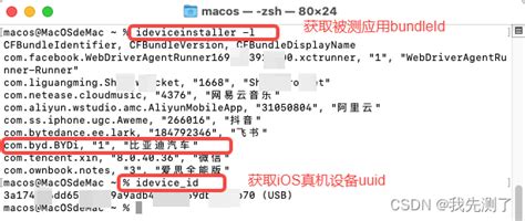 Ios自动化测试方案四：保姆级搭建ios自动化开发环境 Csdn博客