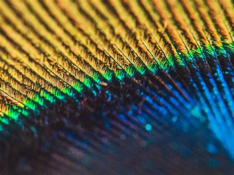 How To Show Screen Touches With Samsungs New Built In Screen Recorder