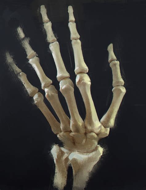 Pin On Bones
