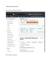 IntroductiontoAmazonEC2Lab Docx Introduction To Amazon EC2 Lab Task