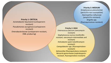 Is Vancomycin Broad Or Narrow Spectrum Unraveling Its Antibiotic Reach 2025