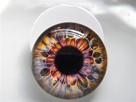 Glass Eyes Brown Eyes Doll Eyes Realistic Eyes Brown Doll Eyes