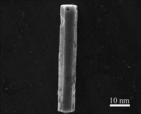 Electrochemiluminescence Sensor Based On Functionalization Metal
