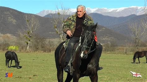 ცხენები და ჩემი ცხოვრება I ნაწილი Youtube