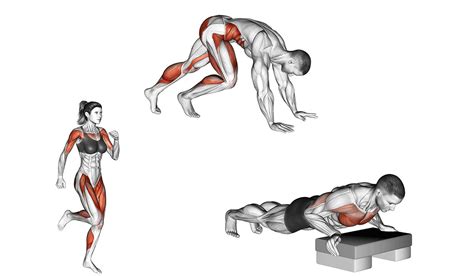 16 Dicas Para Diminuir O Percentual De Gordura Ficha De Treino