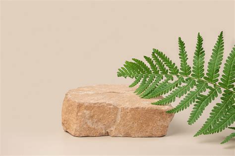 중립적인 베이지색 배경에 승진을 위한 돌 연단 자연석 받침대 그린 팜 고사리 나뭇잎 미용 제품 모형 화장품 비누 스탠드 진열장