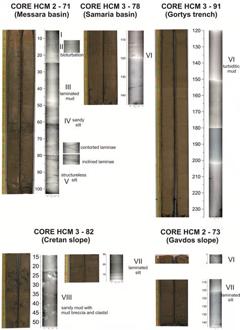 Photographs And X Radiographs Negative Of Selected Core Sections Download Scientific Diagram