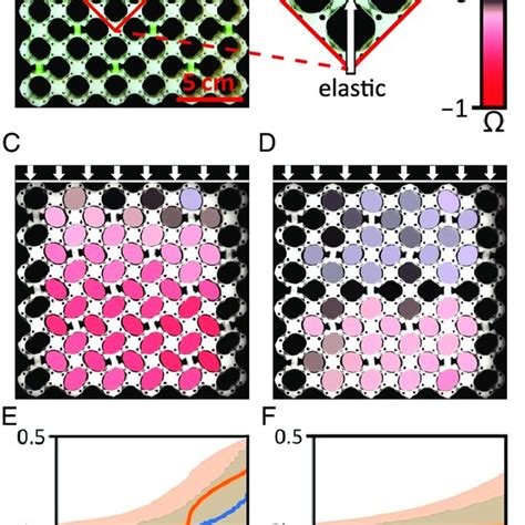 Experimental Validation Of Mode Selection Mediated By Strain Rate A