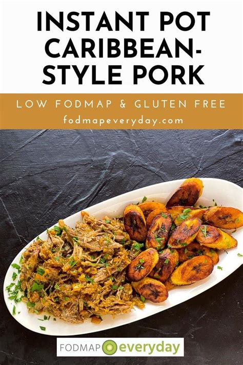 Low Fodmap Instant Pot Cuban Style Pork Artofit