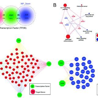 Graphene Oxide Altered Transcription Factor TF Expression Resulting