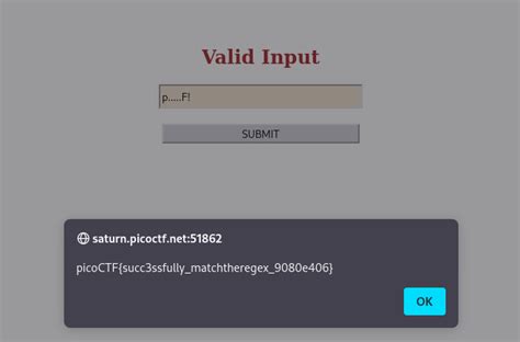 Picoctf Matchtheregex Pentest Journeys