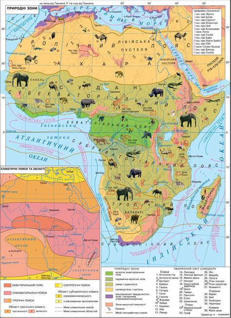 АФРИКА Клімат Геологія Географія материків і океанів 7 клас