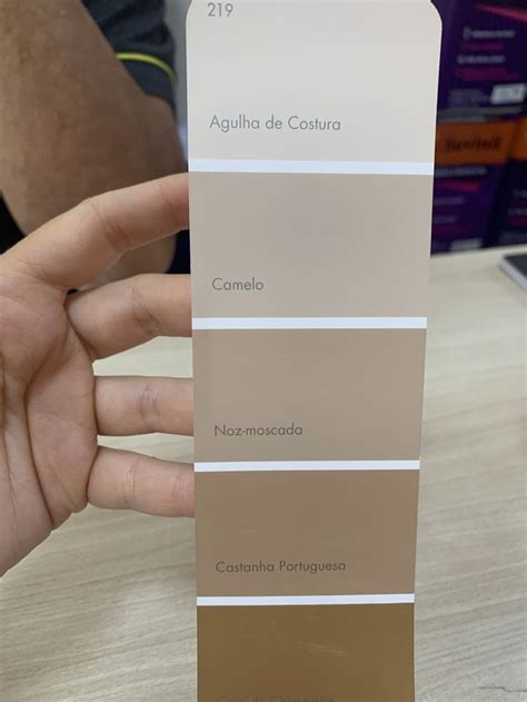 Suvinil Cor Castanha Portuguesa E Os Tons Da Paleta Cores De Tinta