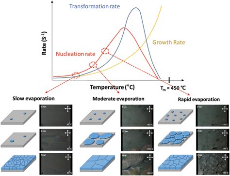 Formation Of Polymer Domains With Different Solidification Rates In The Download Scientific