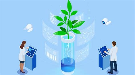 How To Feed Your Network Monitoring Solution FirstWave