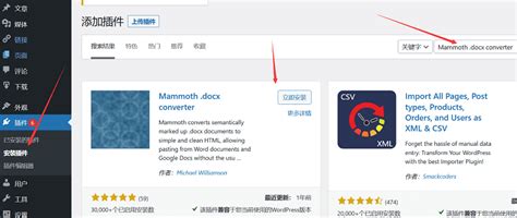 Word Wordpress Mammoth Docx Converter