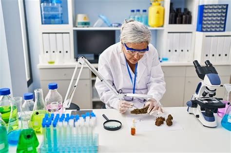 실험실에서 마리화나를 분석하는 과학자 유니폼을 입은 중년 여성 대마초에 대한 스톡 사진 및 기타 이미지 대마초 분석 보기