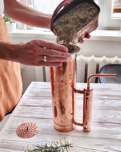 Eucalyptus Essential Oil And Hydrosol Distillation Artofit