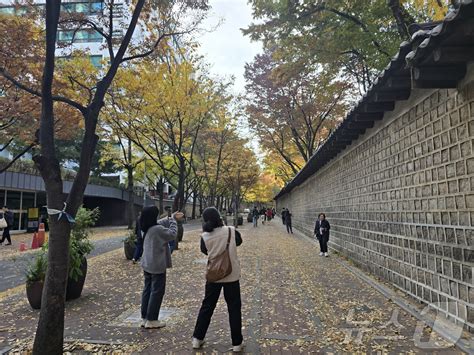 입동 깜짝 영하 추위 앞두고 서울 정동길 단풍 만개 뉴스1
