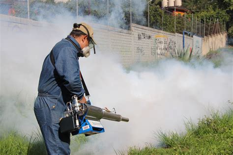 Notifica Ssj 675 Casos Nuevos De Dengue En Jalisco Secretaría De Salud
