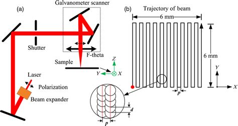 A Schematic Representation Of The Experimental Setup Used In