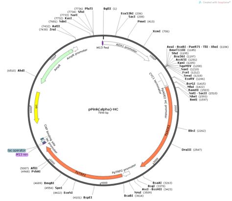 信号肽的分泌表达百度知道