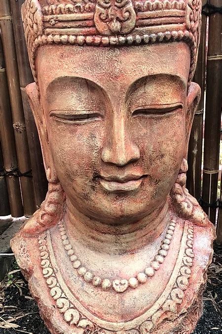 Buddha Head Pot Prime Adelaide