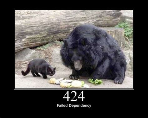 424 Failed Dependency Cats