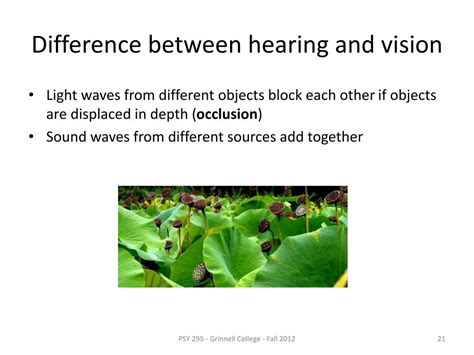 Ppt Hearing Complex Sounds Powerpoint Presentation Free Download