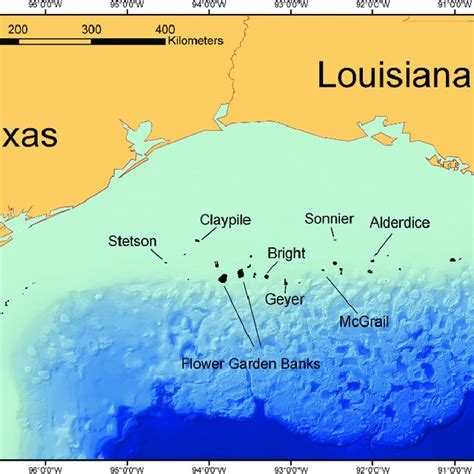 18 Coralline Algae Patch Reef Habitat Within The Coralline Algae Zone