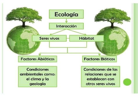 Mapa Conceptual Sobre La Ecologia Pdf