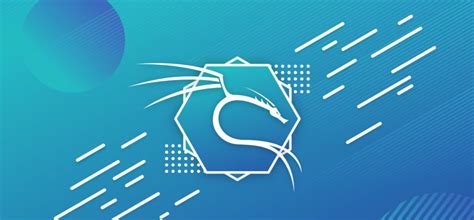 How To Fix Common Kali Linux Installation Errors Tech Hyme