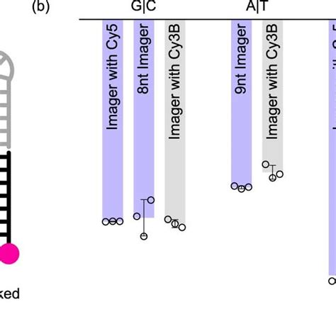 Orthogonal Configurations And Sequences Used To Measure Base Stacking