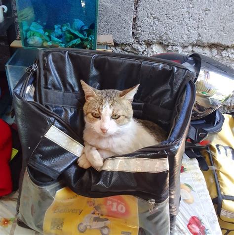 Thunderobot 🚀 𝗧𝗵𝘂𝗻𝗱𝗲𝗿𝗼𝗯𝗼𝘁 𝗧𝗕𝗢𝗢𝗞 𝟭𝟱𝗗 Your Next Level Laptop 💡 Choose Your Power 𝗶𝟱 Great