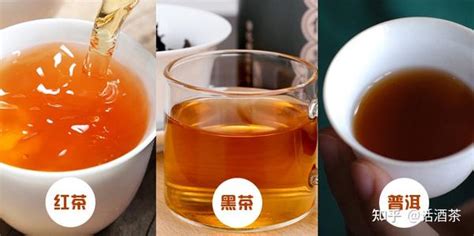 红茶or绿茶or黑茶一文带你读懂普洱茶 知乎