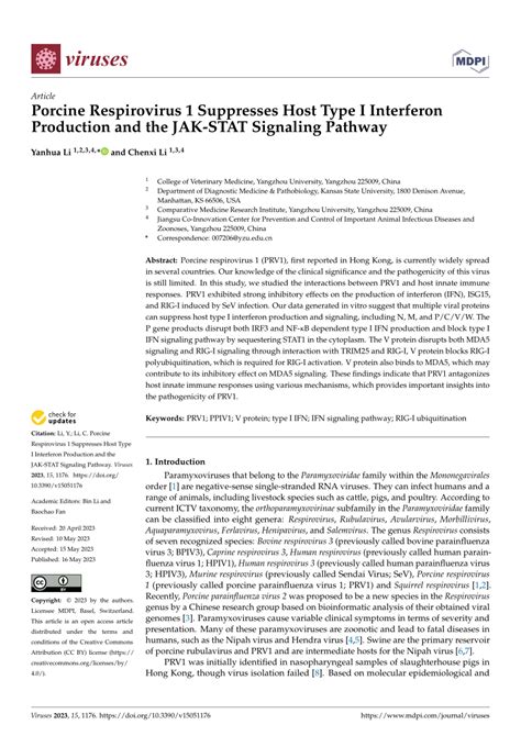 Pdf Porcine Respirovirus 1 Suppresses Host Type I Interferon