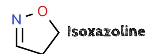 Isoxazolines A Versatile Class Of Heterocycles With Promising Applications Abderrahim Boudra